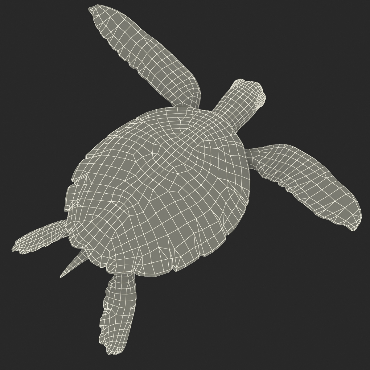 3d sea turtle pose 3