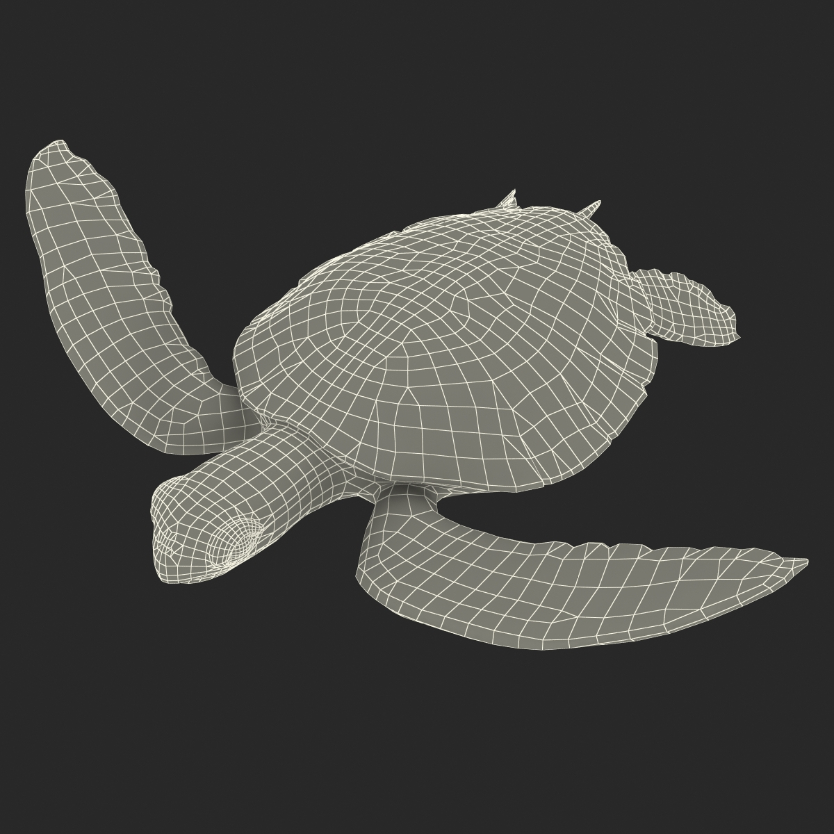 3d sea turtle pose 3