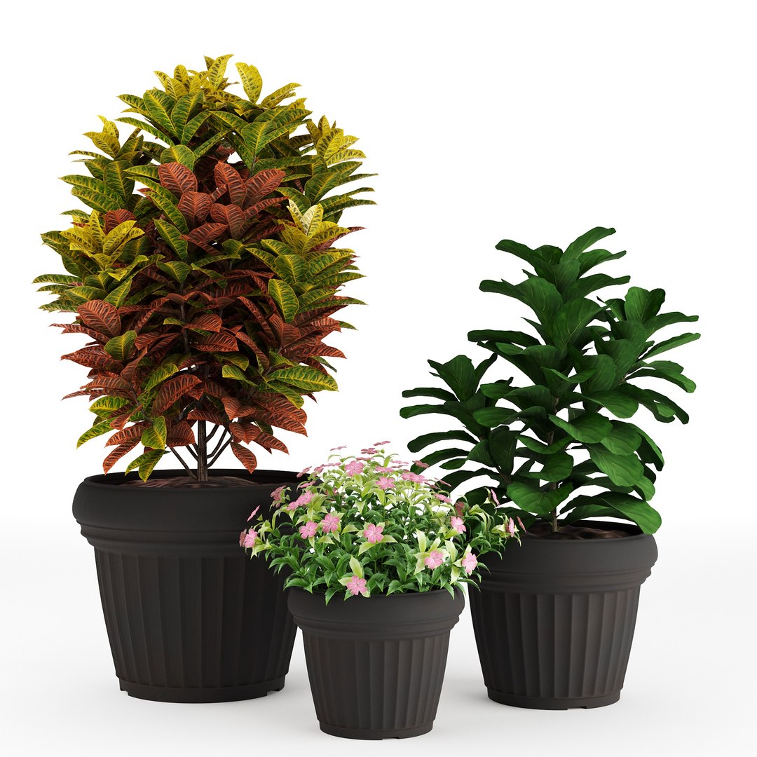 Set 3 Indoor Planters 01 3D model - TurboSquid 2095316
