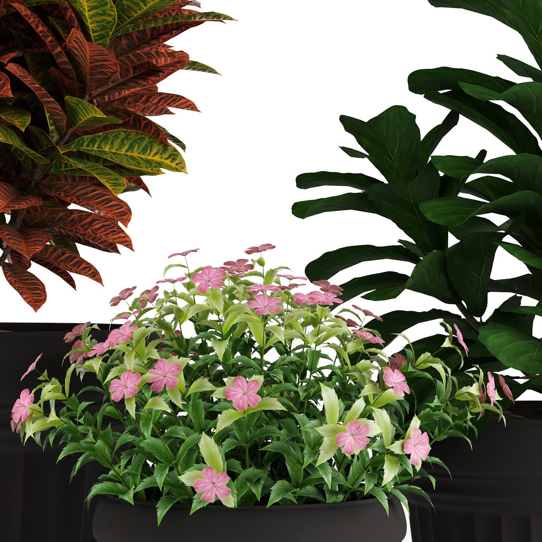 Set 3 Indoor Planters 01 3D model - TurboSquid 2095316