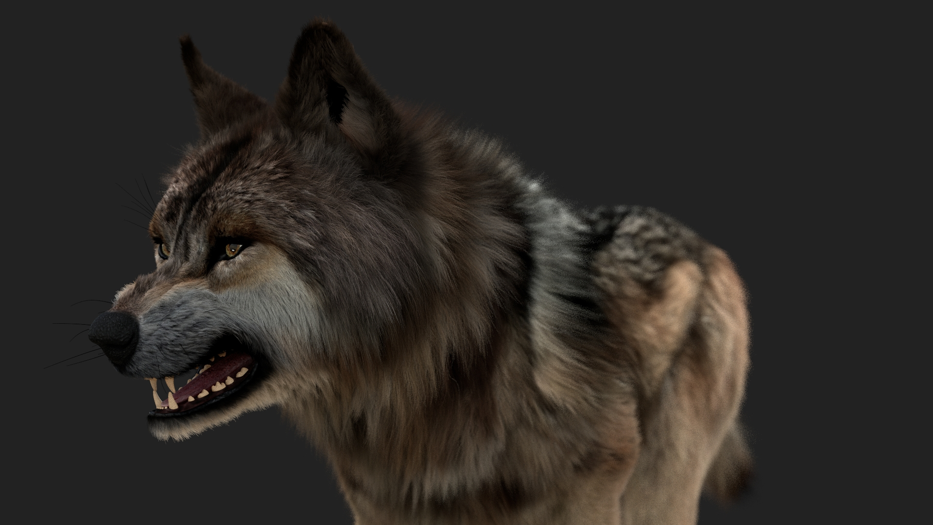 Wolf FUR Animated model - TurboSquid 1816699