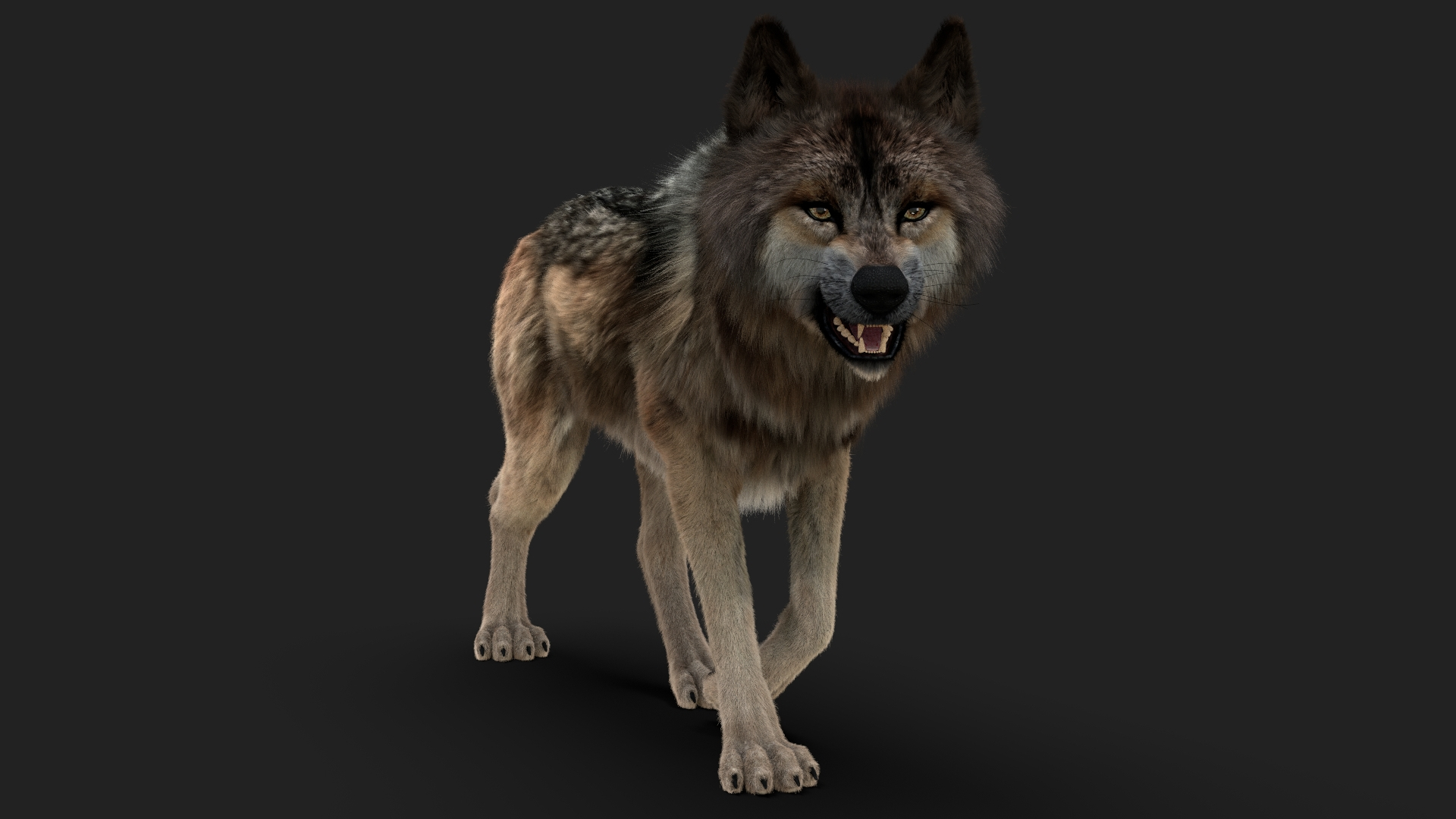 Wolf FUR Animated model - TurboSquid 1816699