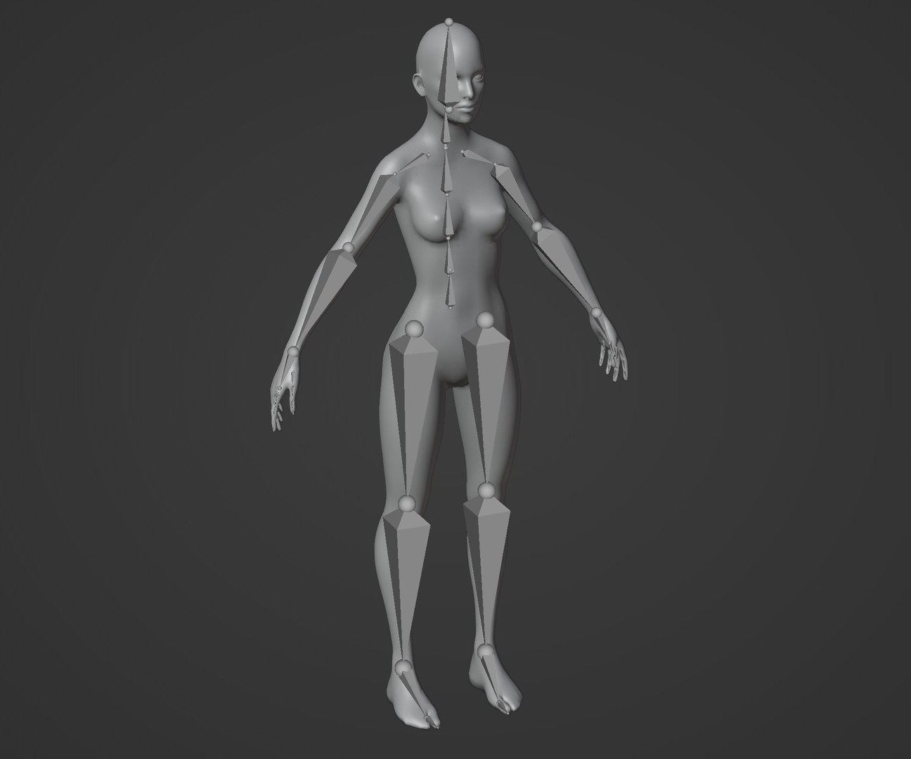 Male And Female Body Base Mesh Animated And Rigged 10k Polygons Model - TurboSquid 1869937
