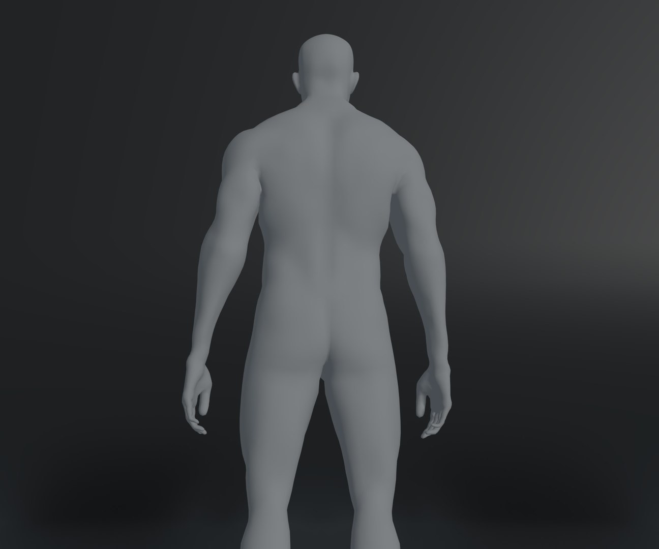 Male And Female Body Base Mesh Animated And Rigged 10k Polygons Model - TurboSquid 1869937