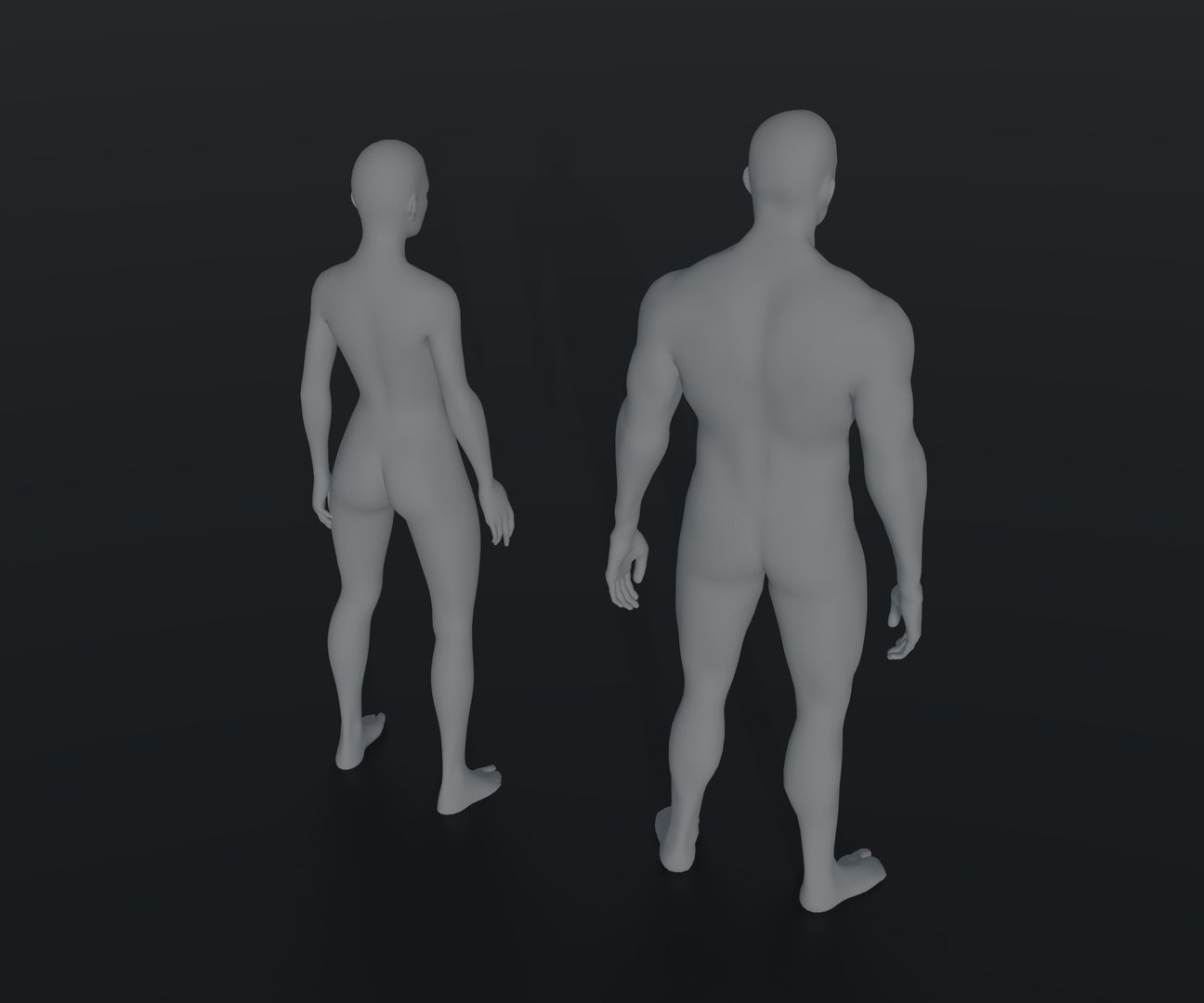 Male And Female Body Base Mesh Animated And Rigged 10k Polygons Model - TurboSquid 1869937