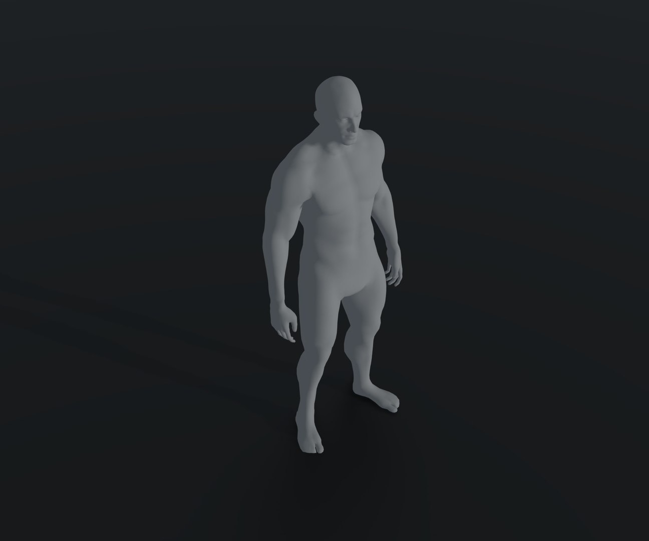 Male And Female Body Base Mesh Animated And Rigged 10k Polygons Model - TurboSquid 1869937