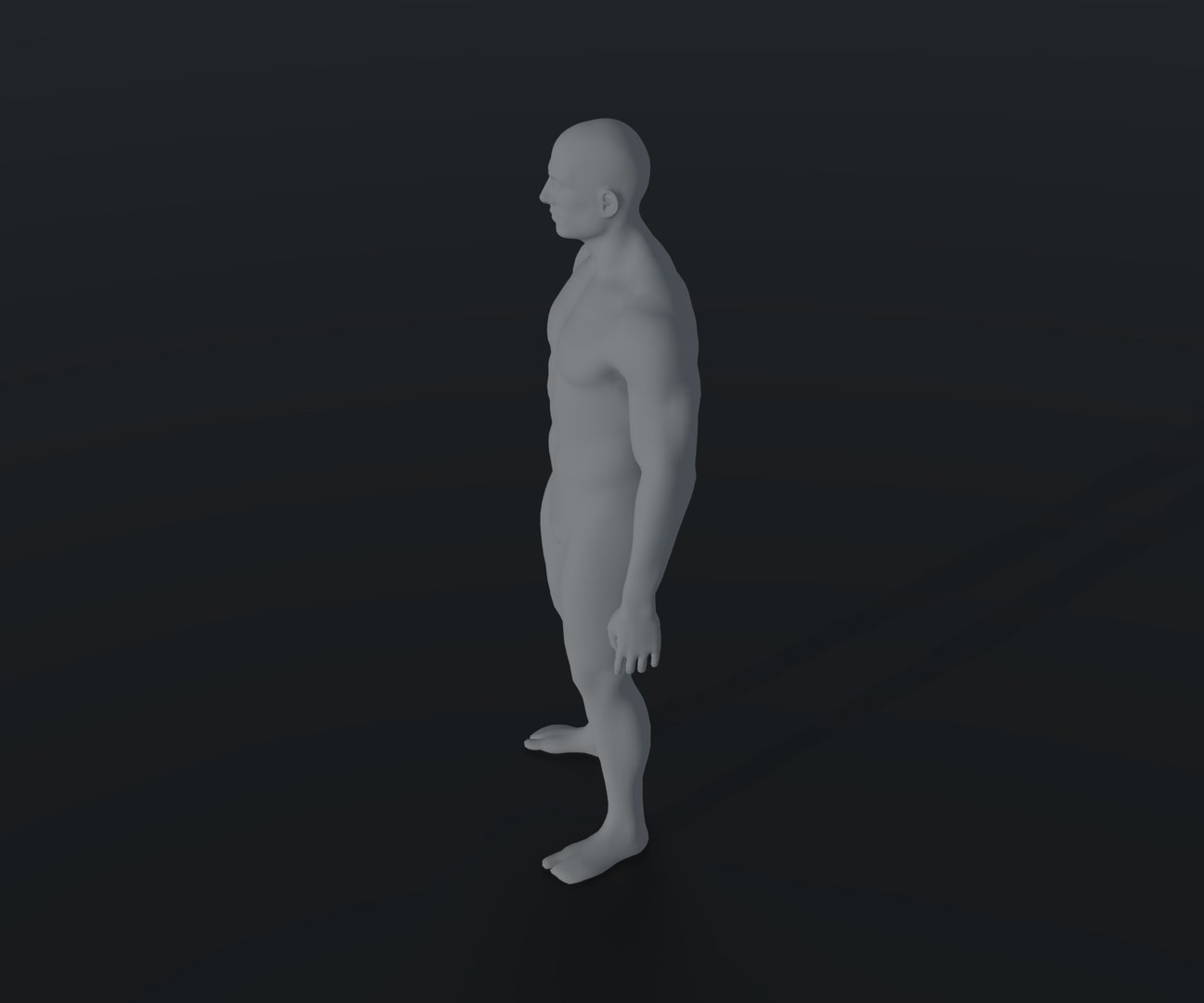 Male And Female Body Base Mesh Animated And Rigged 10k Polygons Model - TurboSquid 1869937