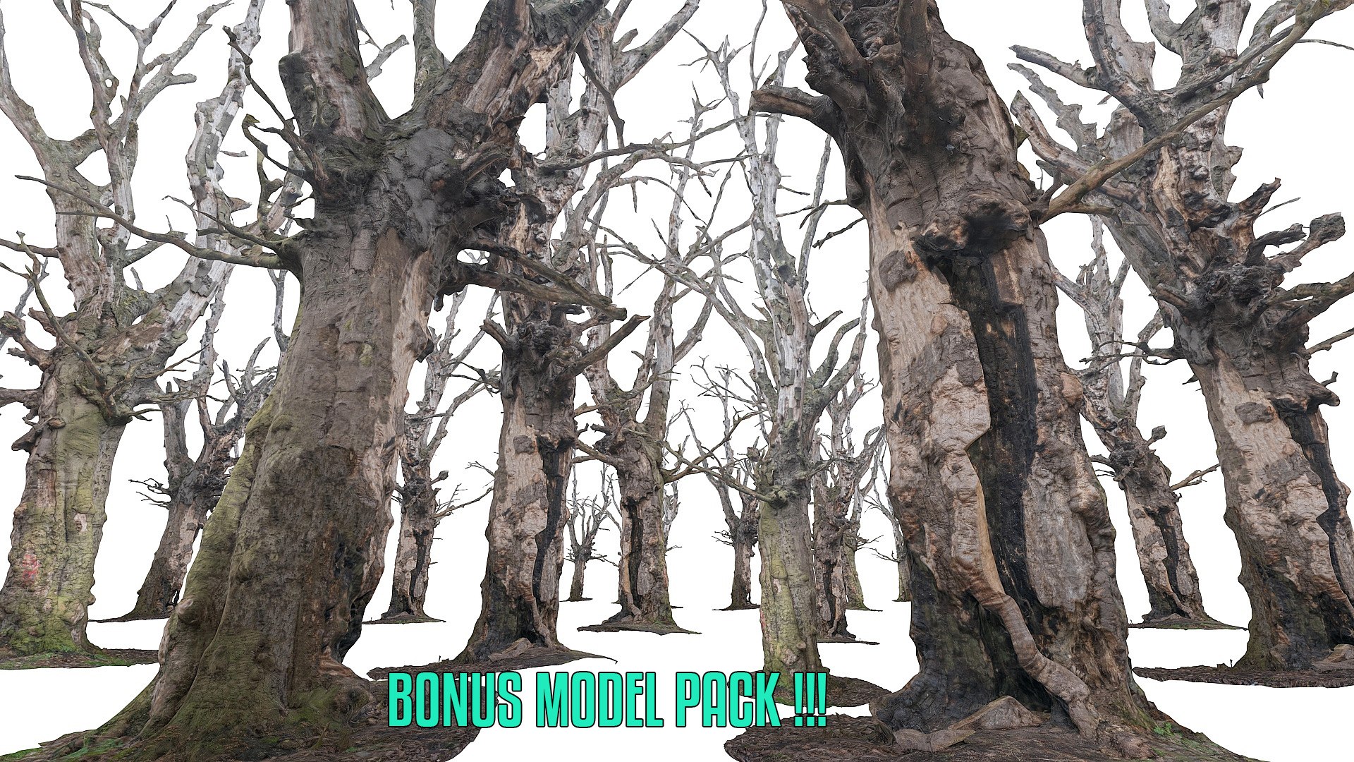 3D Apocalyptic Forest - TurboSquid 2292941