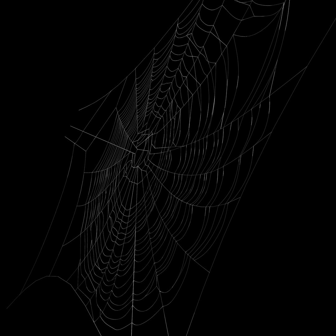 Spider Web 3d Model