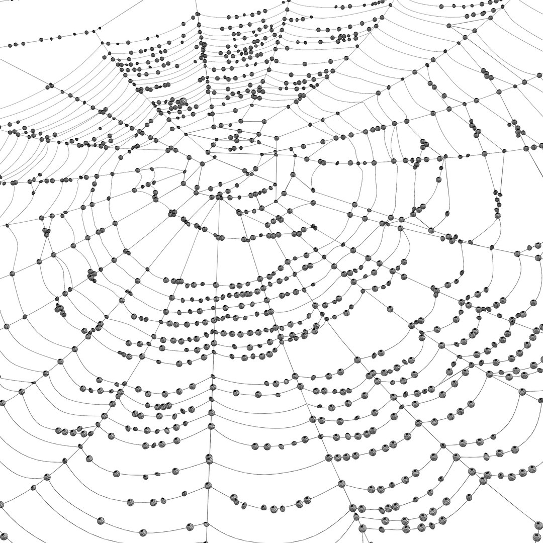 Spider Web 3d Model
