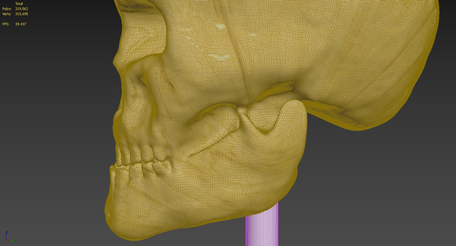 Human skull decor 3D - TurboSquid 1492506