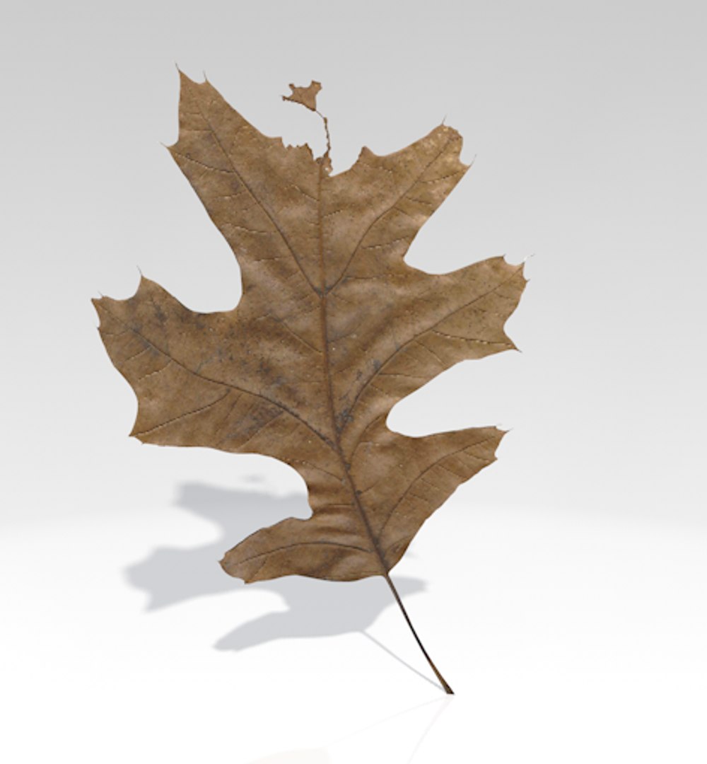 leaf fall dead 3d 3ds