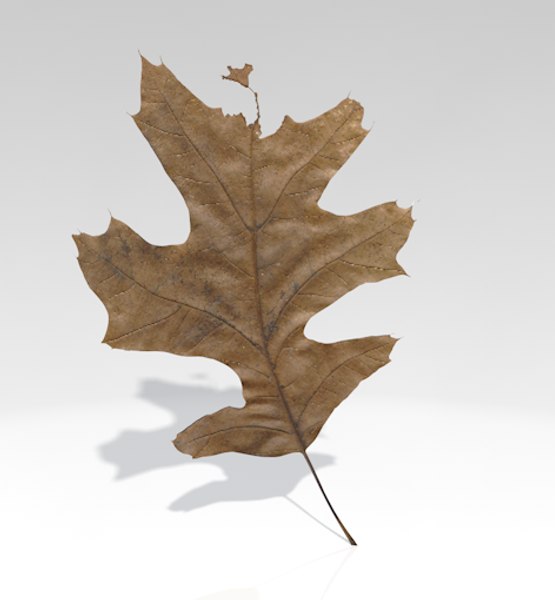 leaf fall dead 3d 3ds