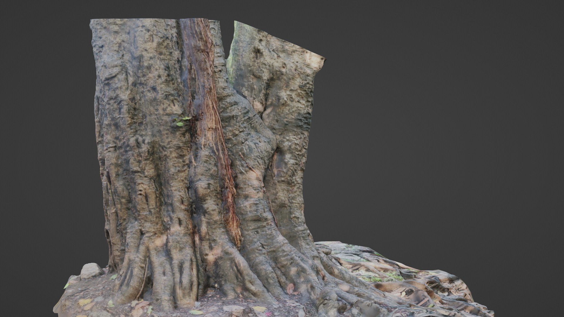 Uprooted Tree Model - TurboSquid 2329656
