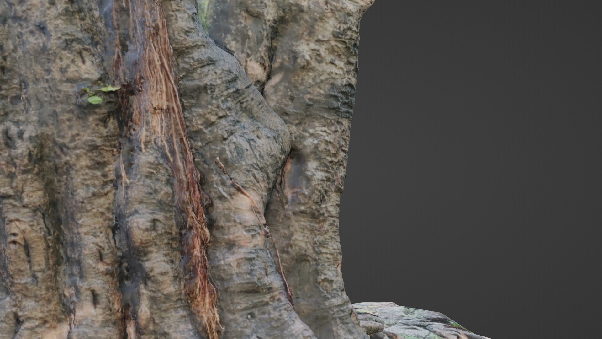 Uprooted Tree Model - TurboSquid 2329656