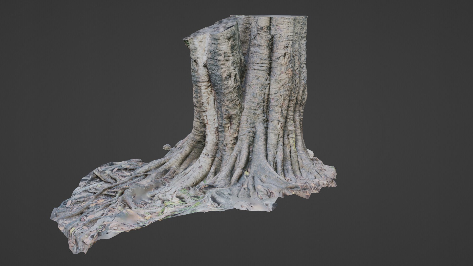 Uprooted Tree Model - TurboSquid 2329656