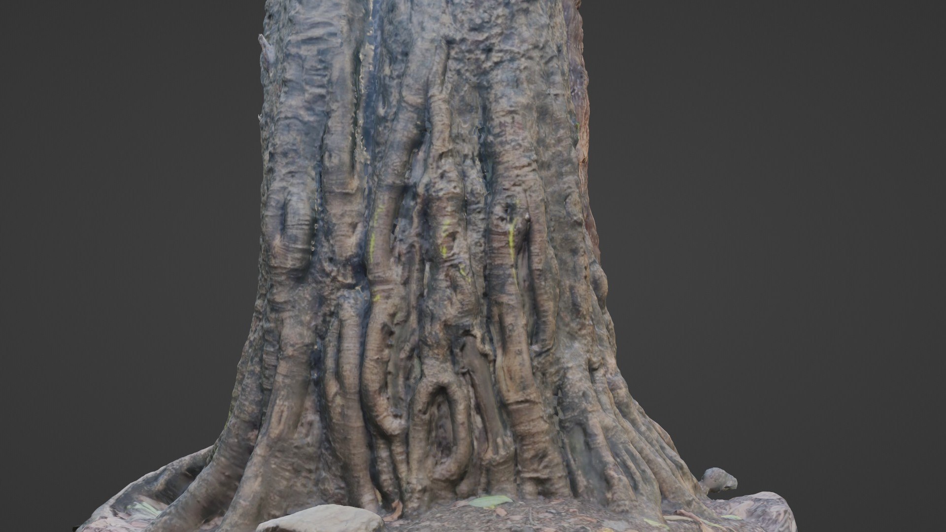 Uprooted Tree Model - TurboSquid 2329656