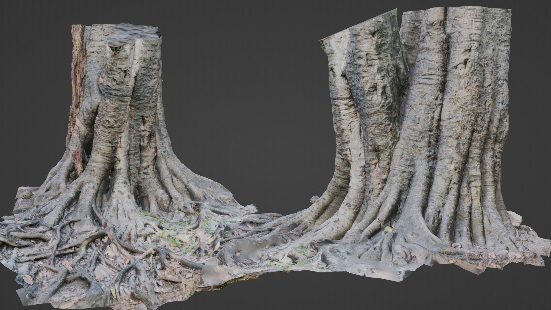 Uprooted Tree Model - TurboSquid 2329656