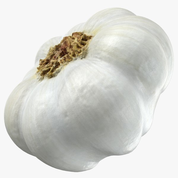Garlic 05 3D model - TurboSquid 1436762