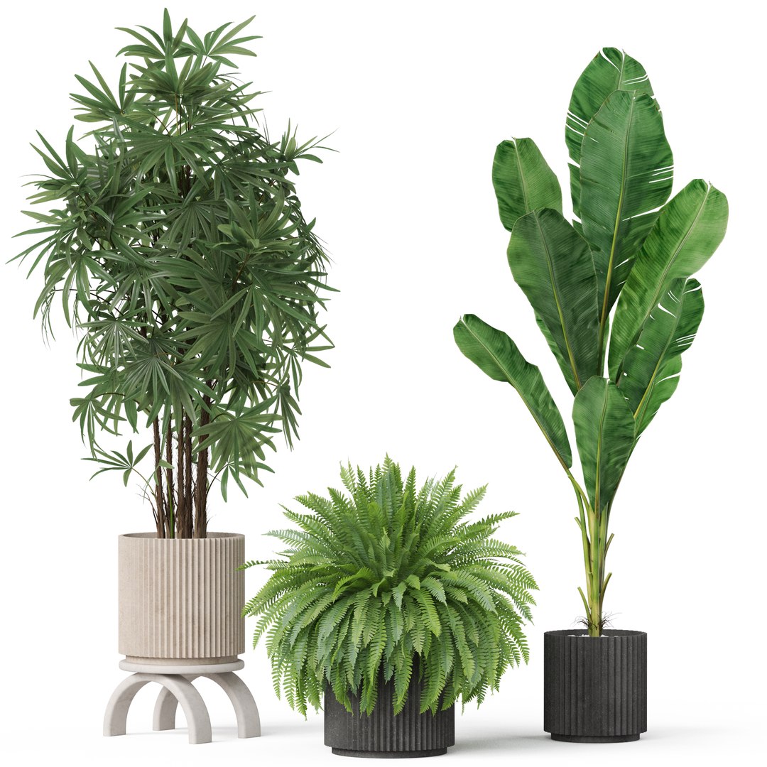3D Plants Collection 919 Model - TurboSquid 2044104