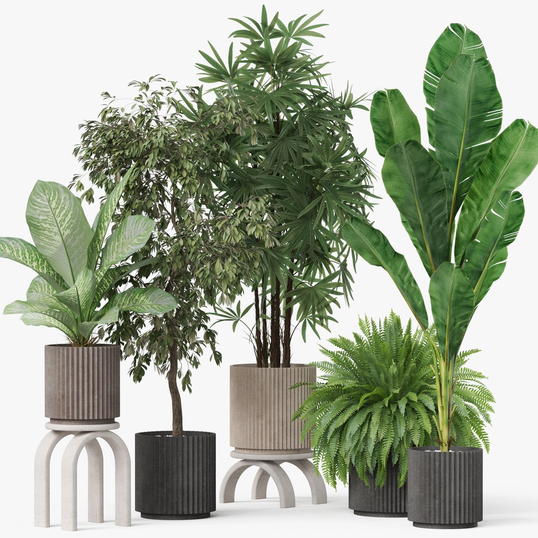 3D Plants Collection 919 Model - TurboSquid 2044104