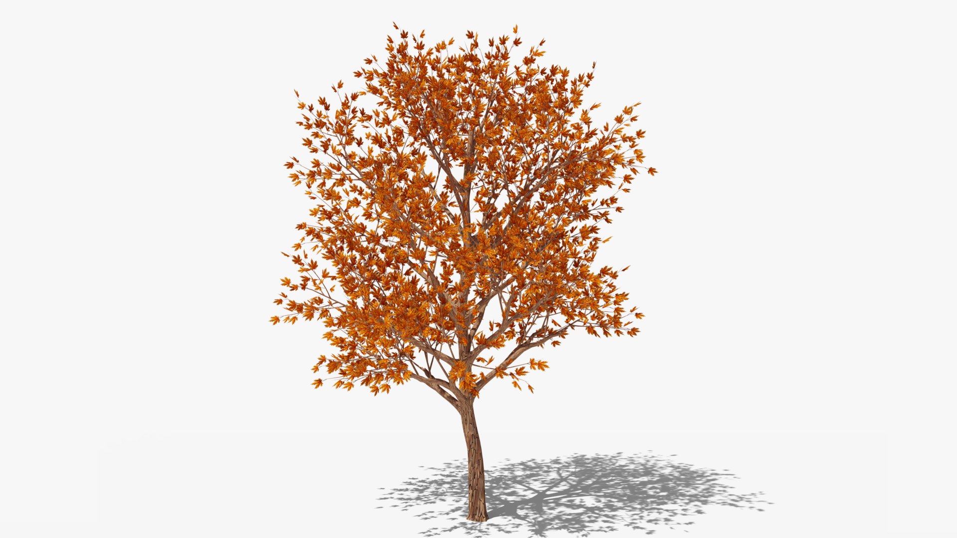 Stylized Cartoon Maple Tree With Red Leaves Model - TurboSquid 2083059