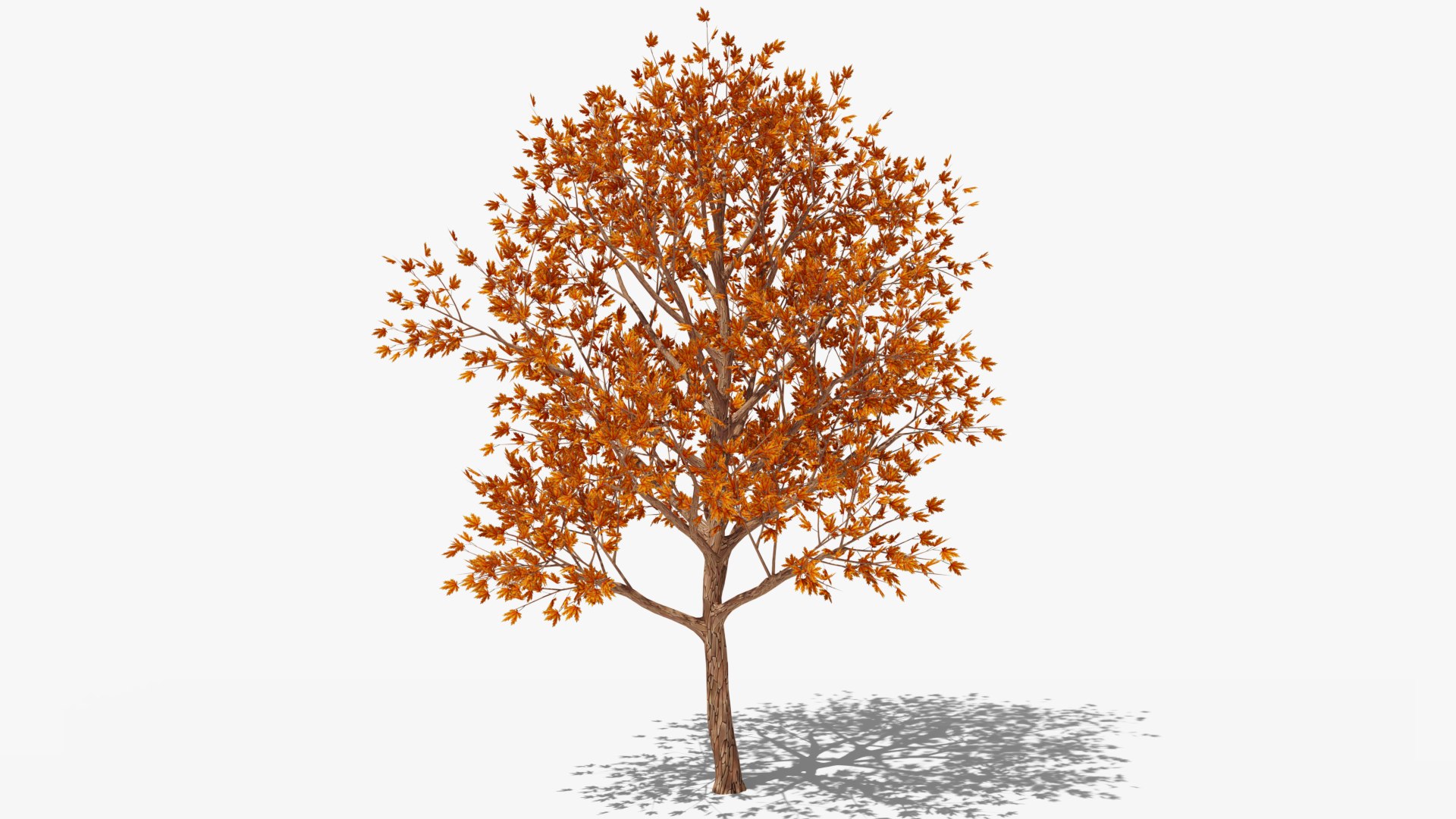 Stylized Cartoon Maple Tree With Red Leaves Model - TurboSquid 2083059