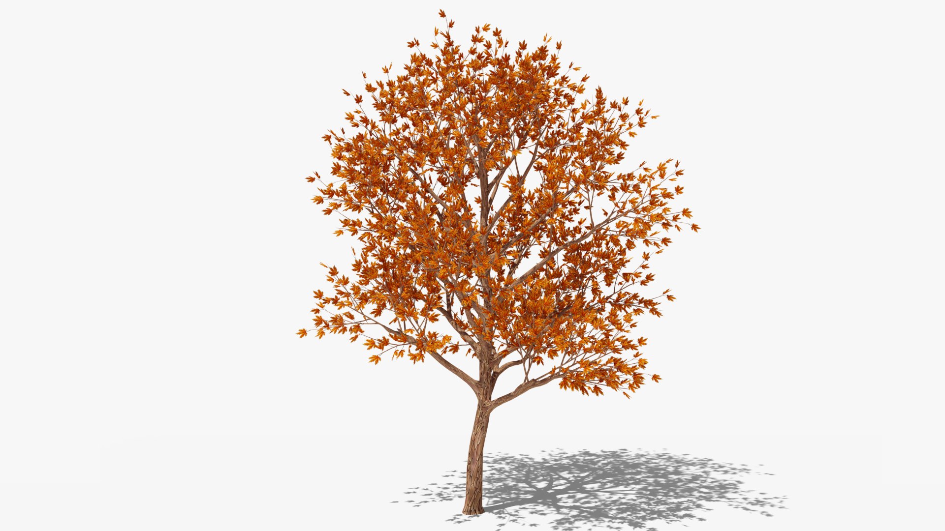 Stylized Cartoon Maple Tree With Red Leaves Model - TurboSquid 2083059