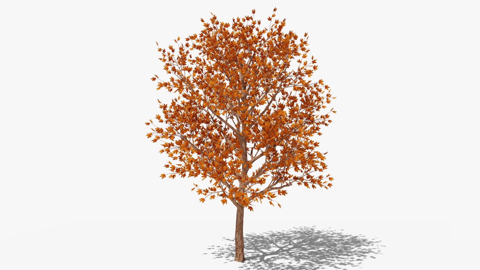 Stylized Cartoon Maple Tree With Red Leaves Model - TurboSquid 2083059