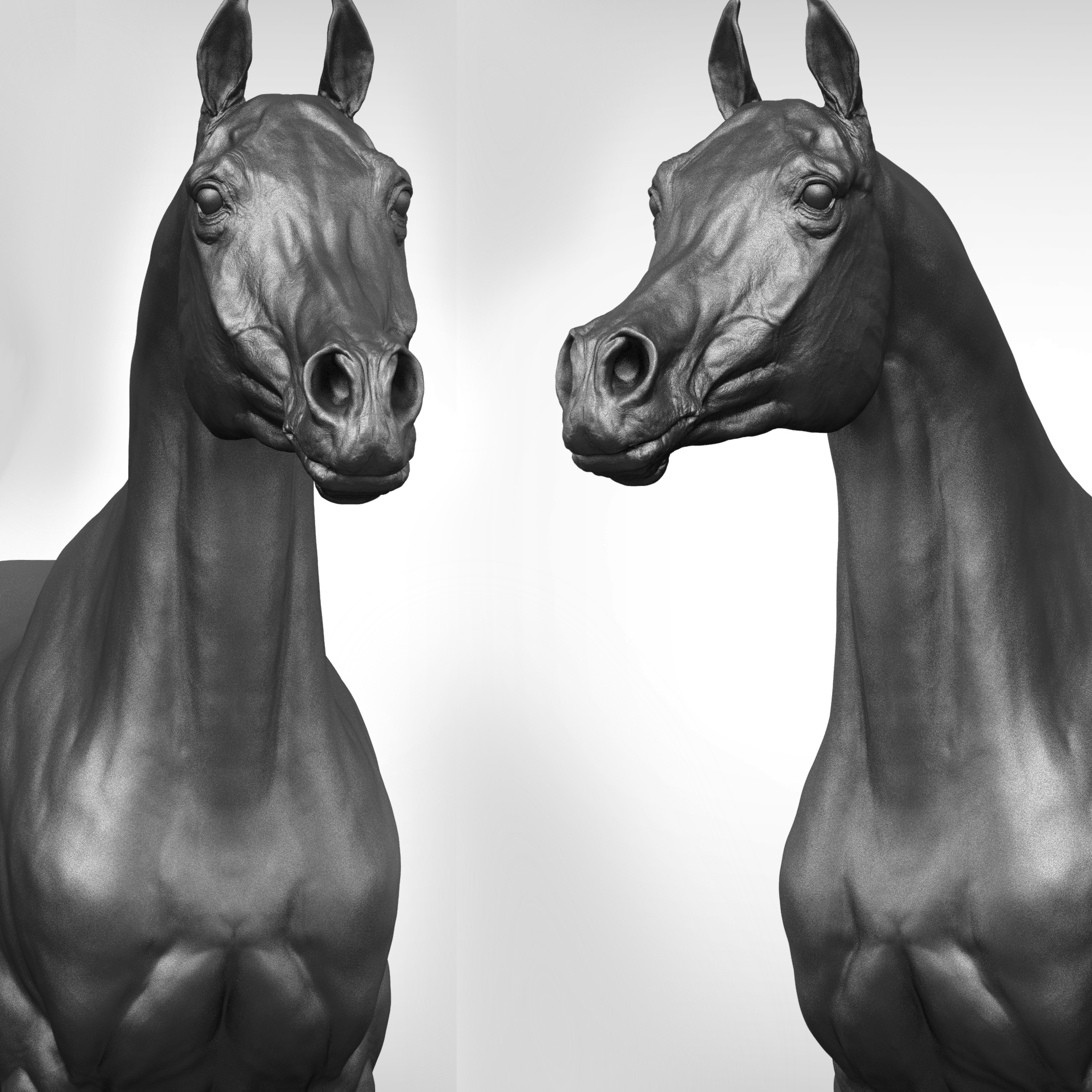 Project arabian horse model - TurboSquid 1385857