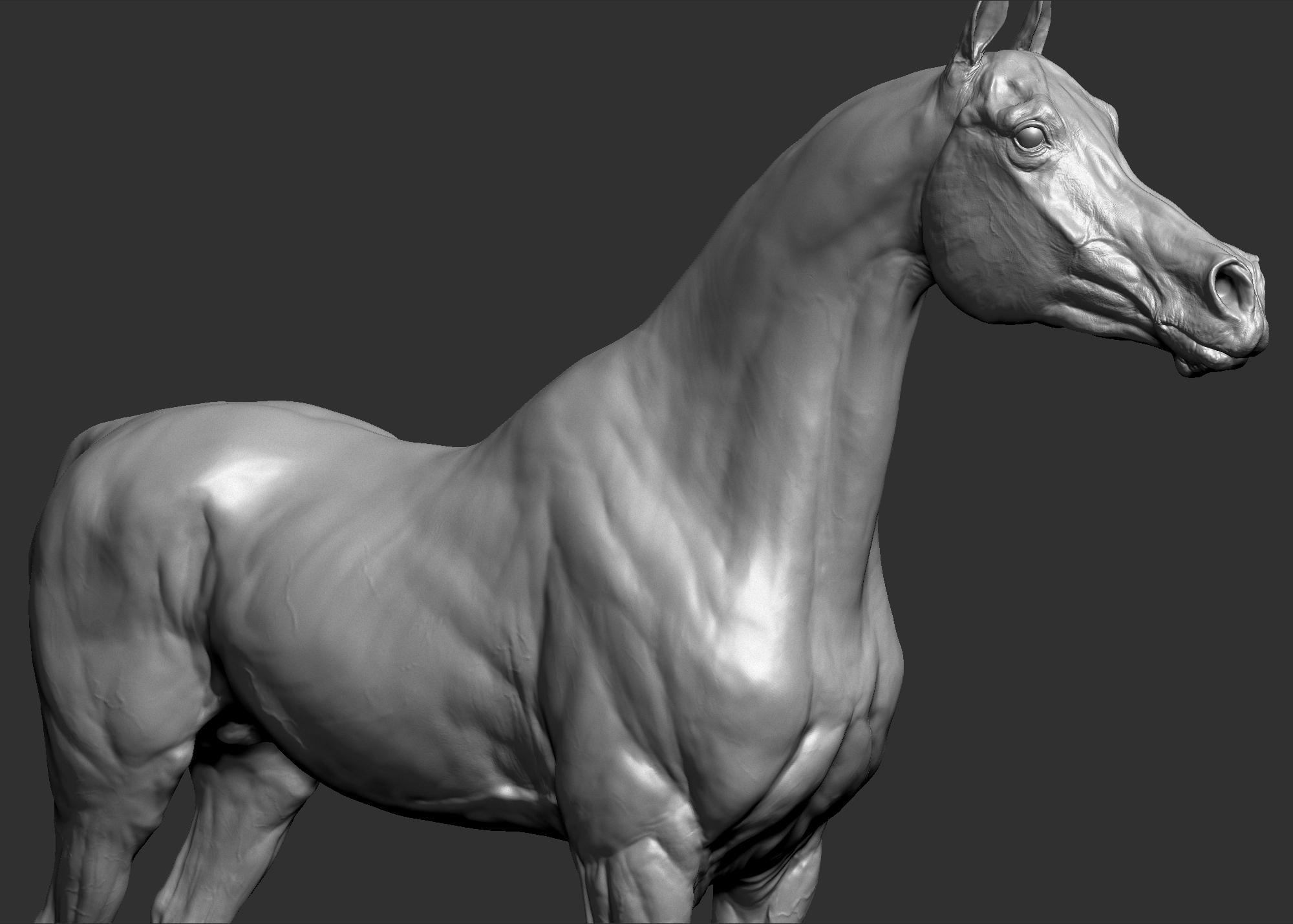 Project arabian horse model - TurboSquid 1385857