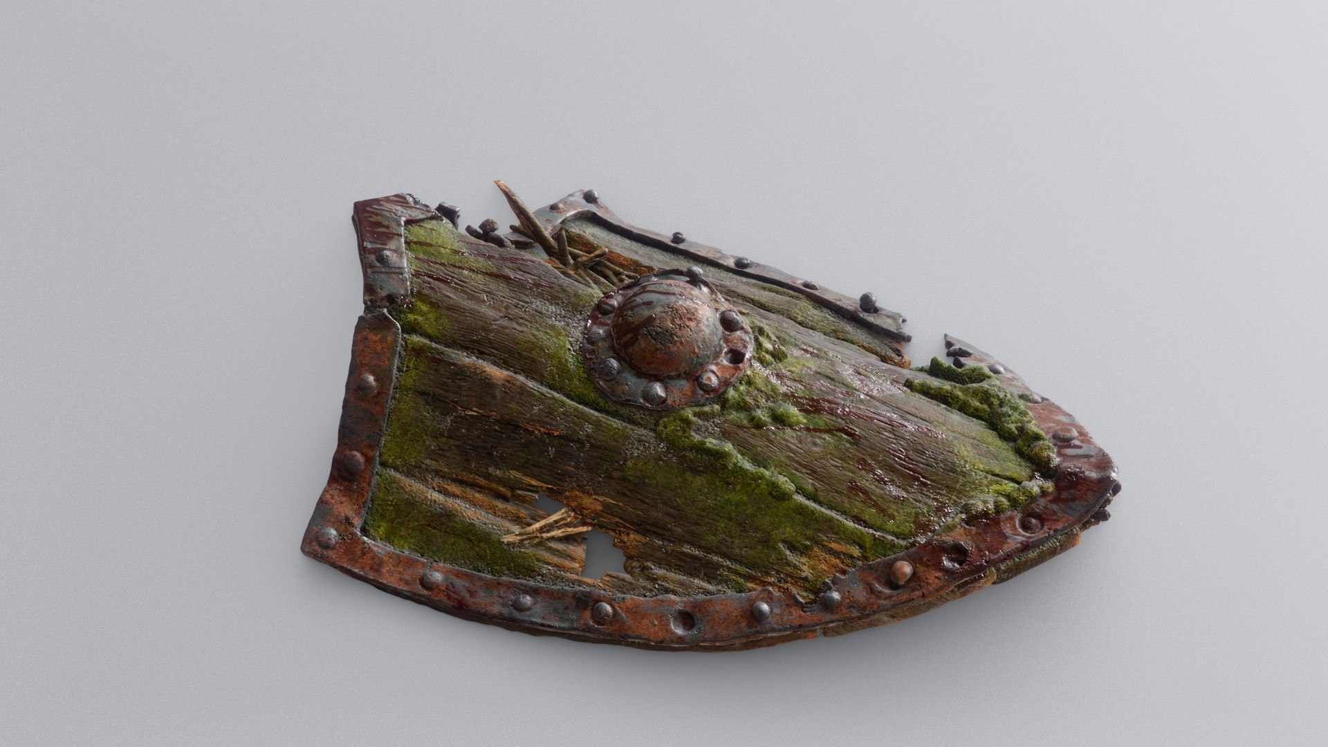 Rotten Shield Model - TurboSquid 2133466