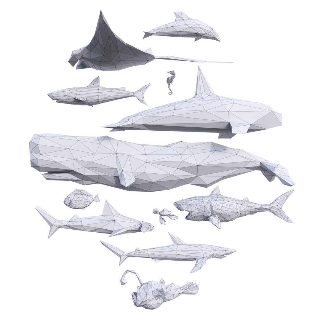 3D Sea Creatures - TurboSquid 1322601