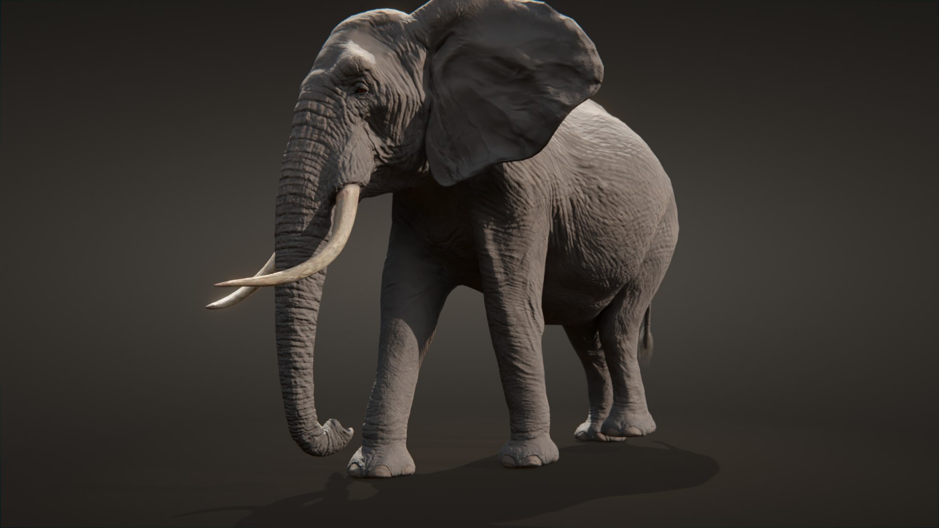 Africa African Elephant Model - TurboSquid 1678844