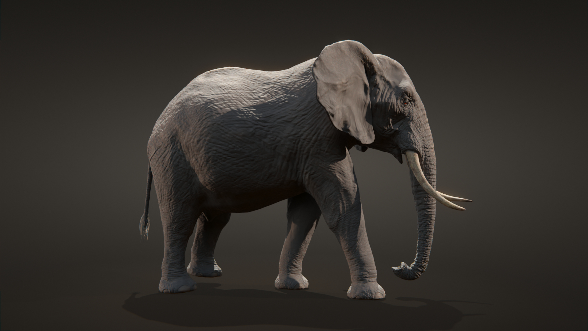 Africa African Elephant Model - TurboSquid 1678844