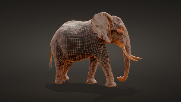 Africa african elephant model - TurboSquid 1678844