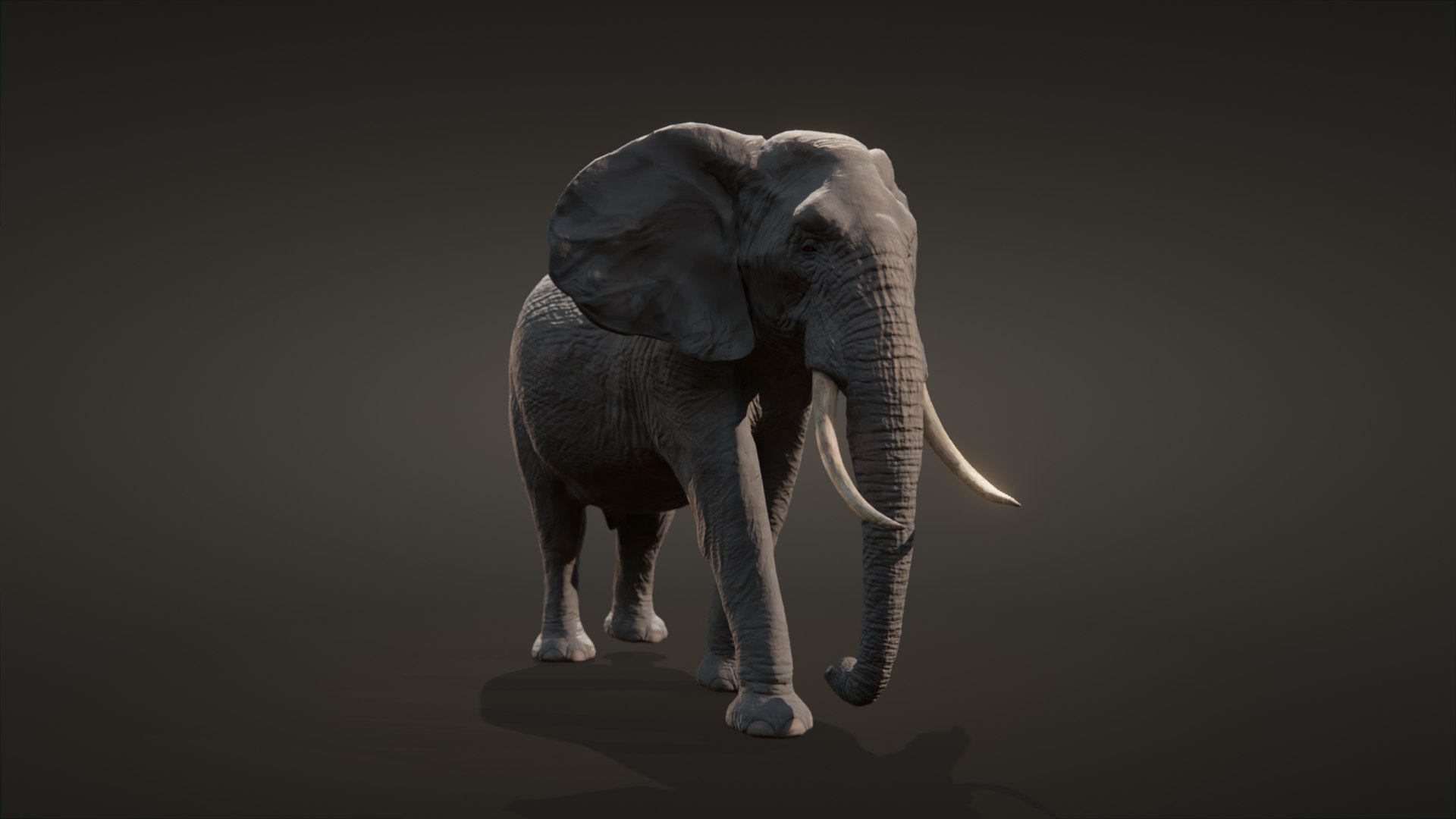 Africa African Elephant Model - TurboSquid 1678844