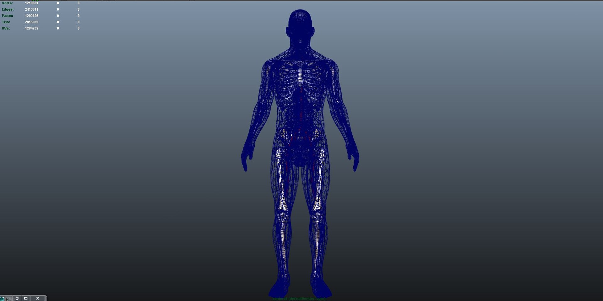 3D body skeleton arteries veins model - TurboSquid 1216993