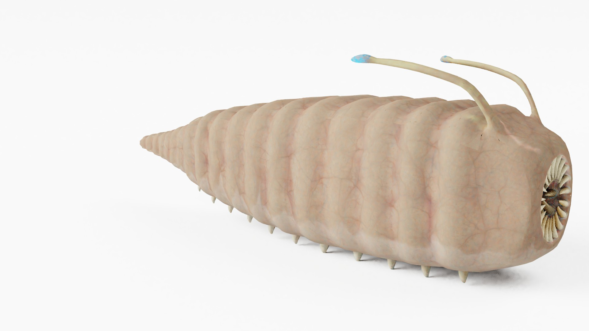 3D Worm Creature Model - TurboSquid 1745570