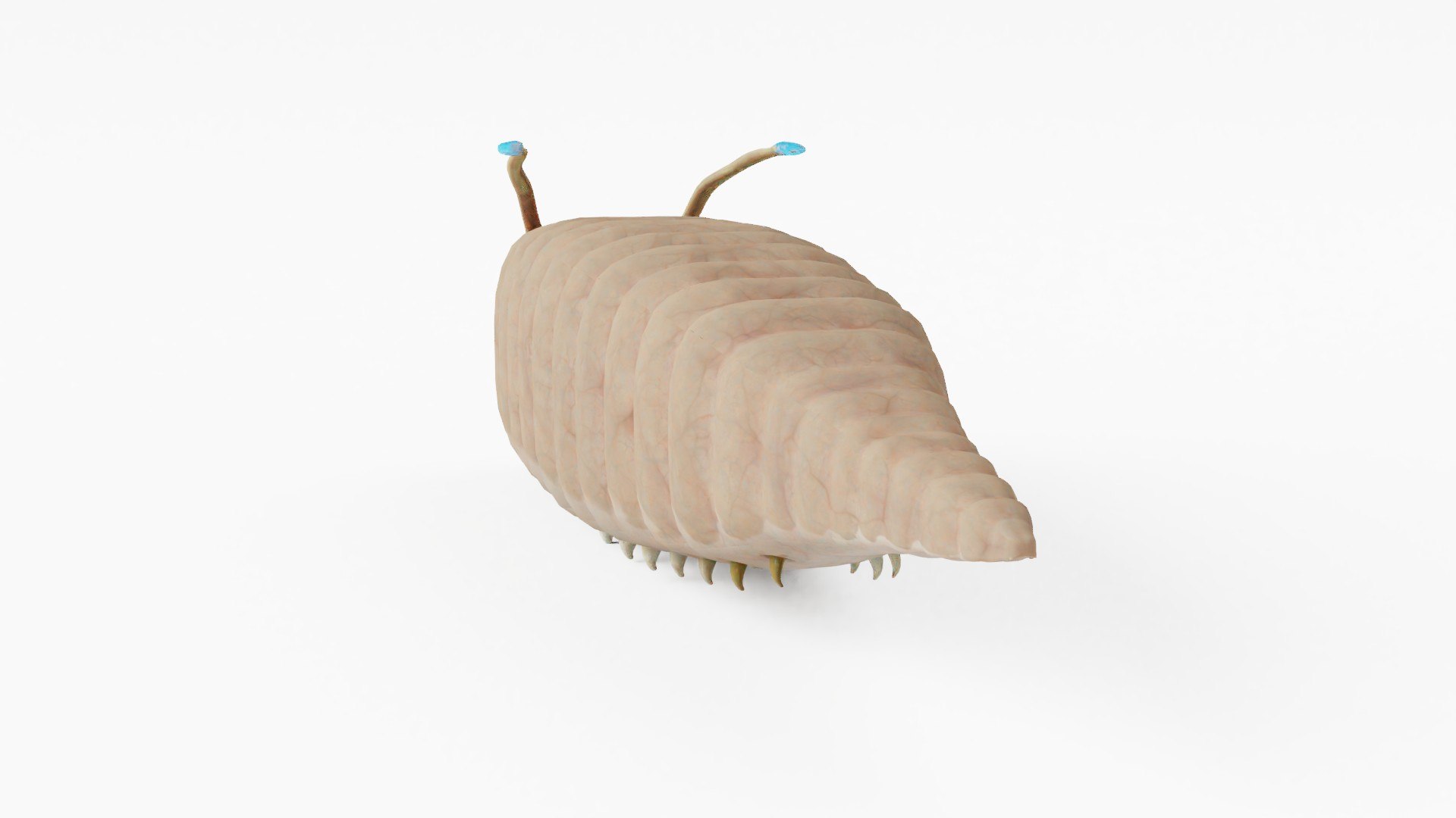 3D Worm Creature Model - TurboSquid 1745570