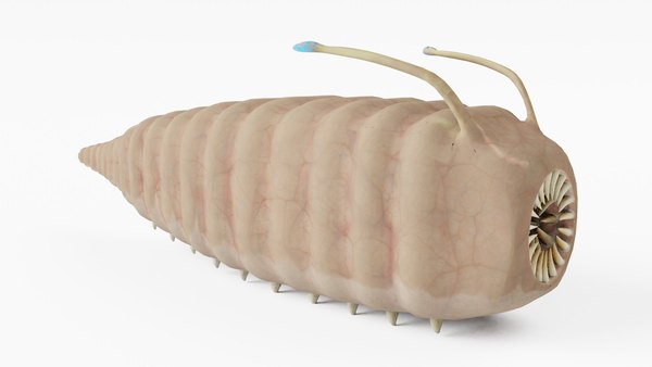 3D Worm Creature model - TurboSquid 1745570