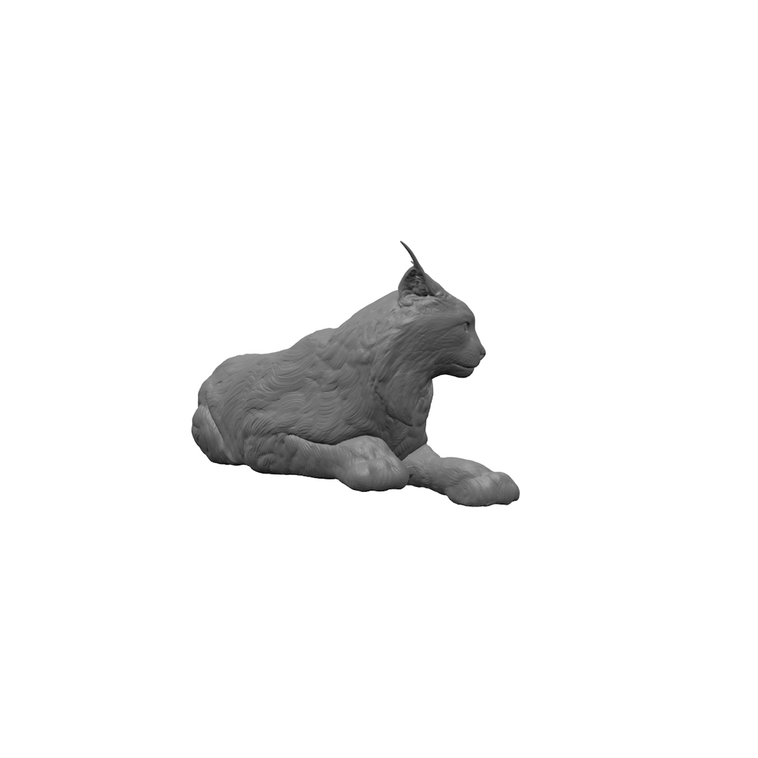 3d lynx model