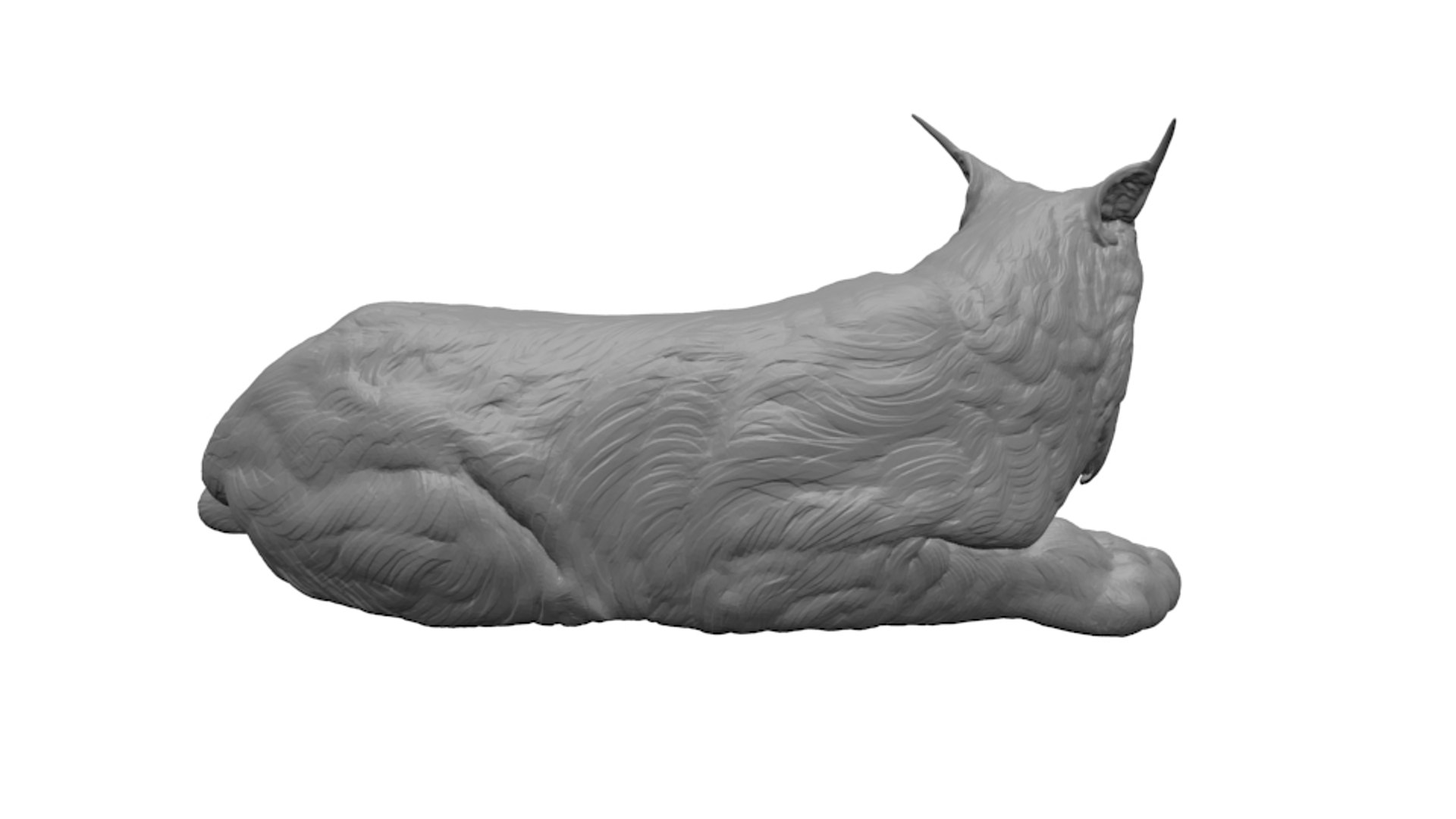3d lynx model