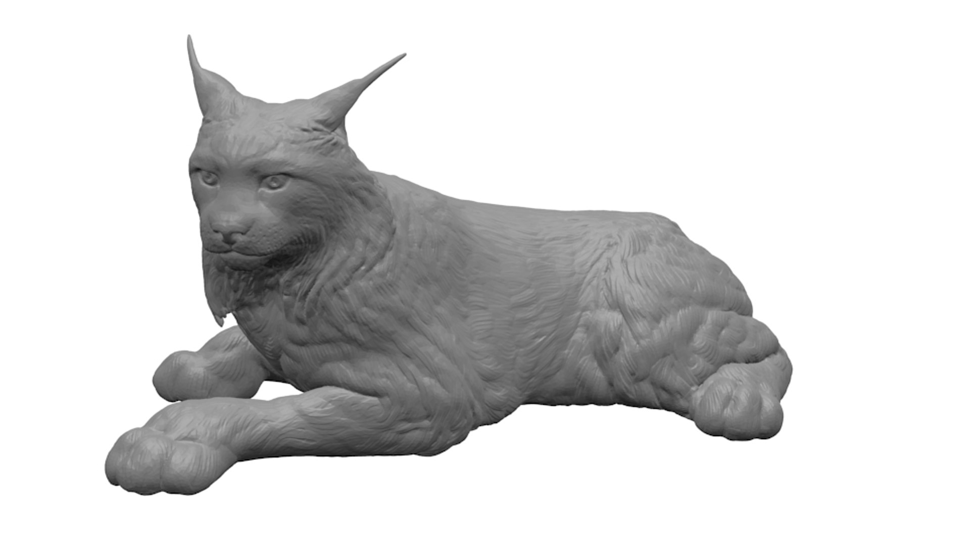 3d lynx model