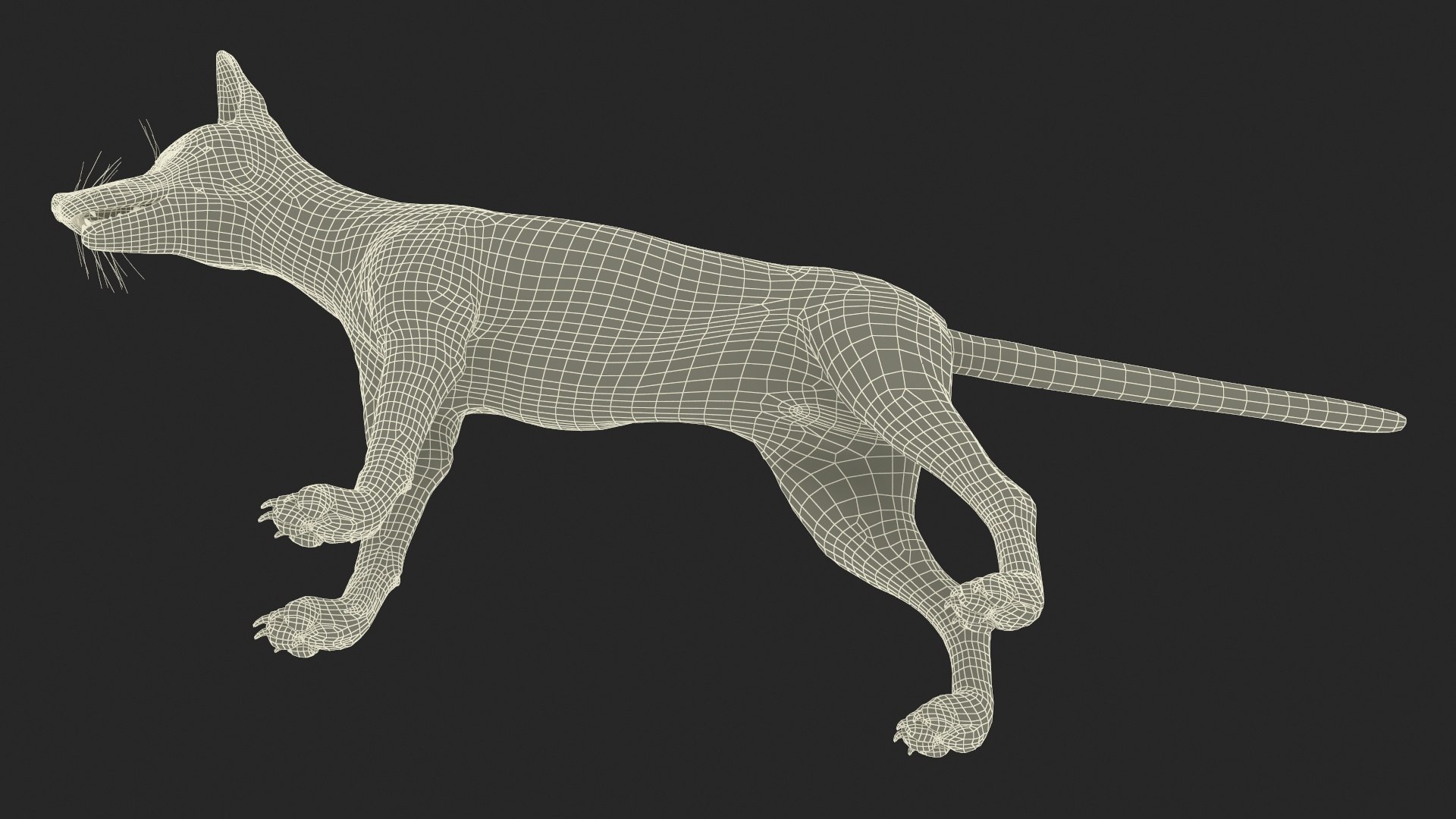 Vulpes Vulpes Basic Pose 3D - TurboSquid 2182903