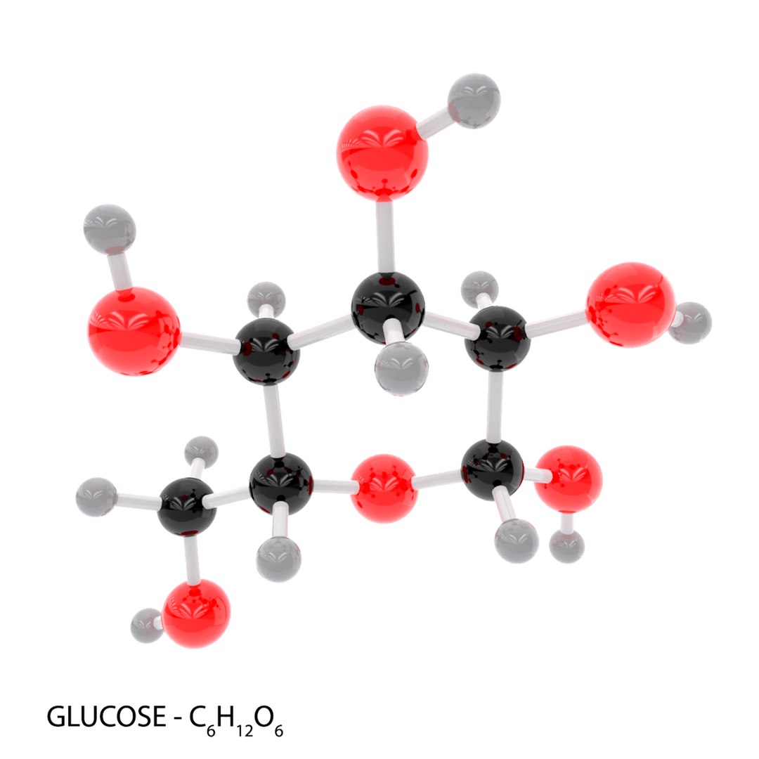 3D Glucose - Molecule - TurboSquid 1883336