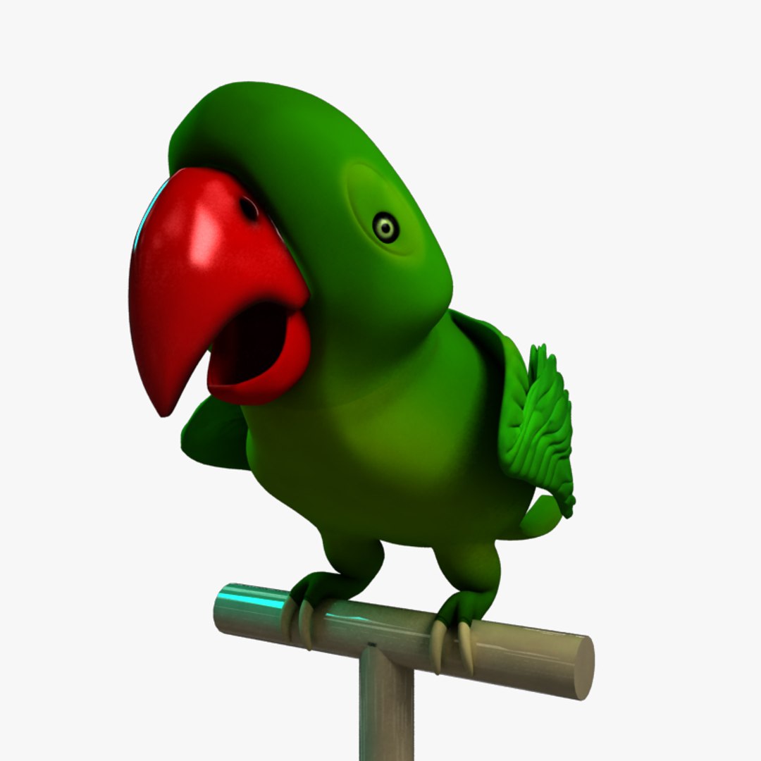 Cartoon Bird Parrot Max