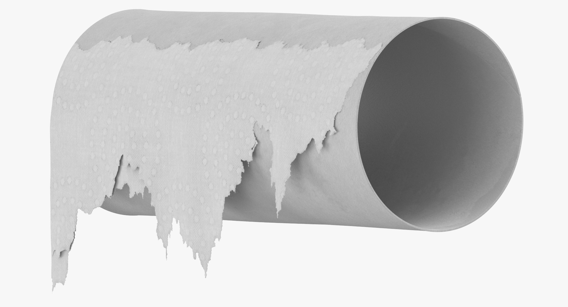 3D Toilet Paper Model - TurboSquid 1303432