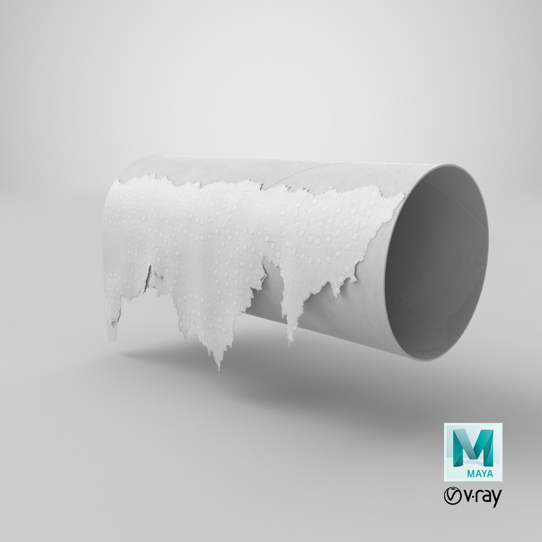 3D Toilet Paper Model - TurboSquid 1303432