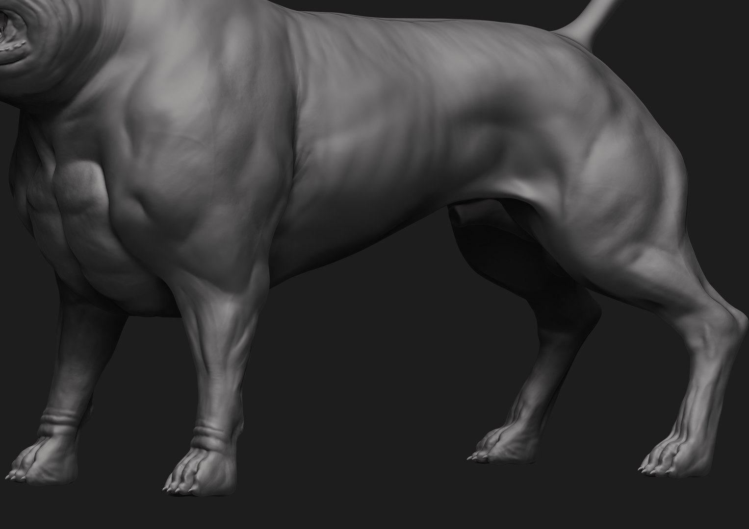 3D American Bully Bust 3D Print Model - TurboSquid 2120200